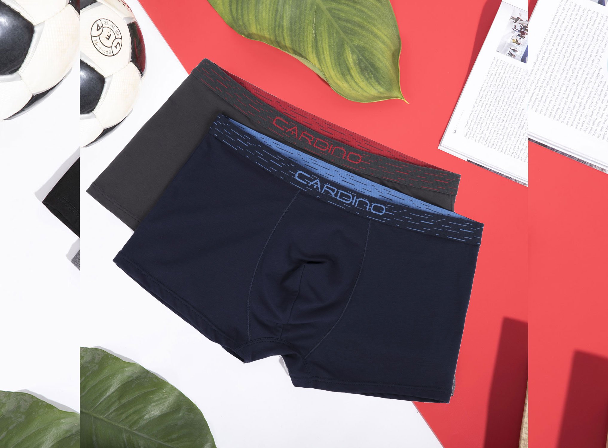 Quần sịp đùi nam cardino Việt Nam CMB01